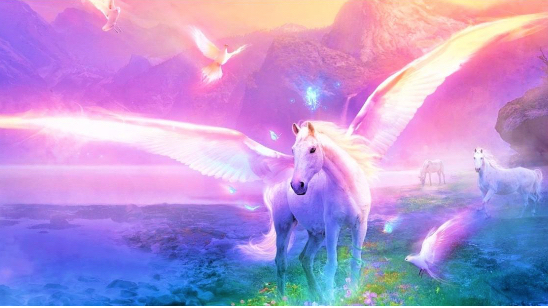 ココナラデビュ〜｜⭐️ Sanae ⭐️｜coconalaブログ